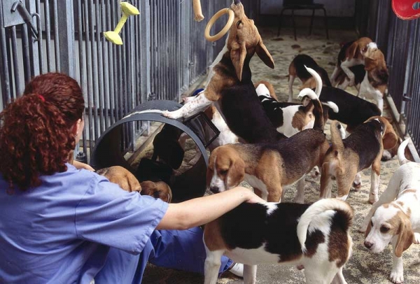 UNSW Animal Behaviour Research Lab2 Ergo Group UNSW Animal Behaviour Research Lab2 Ergo Group