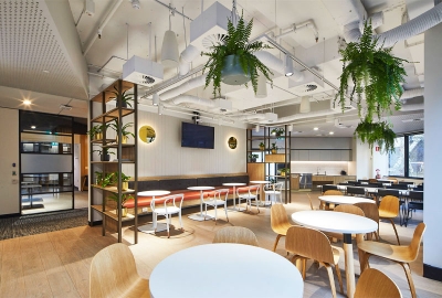 Our Work - Ergo Group